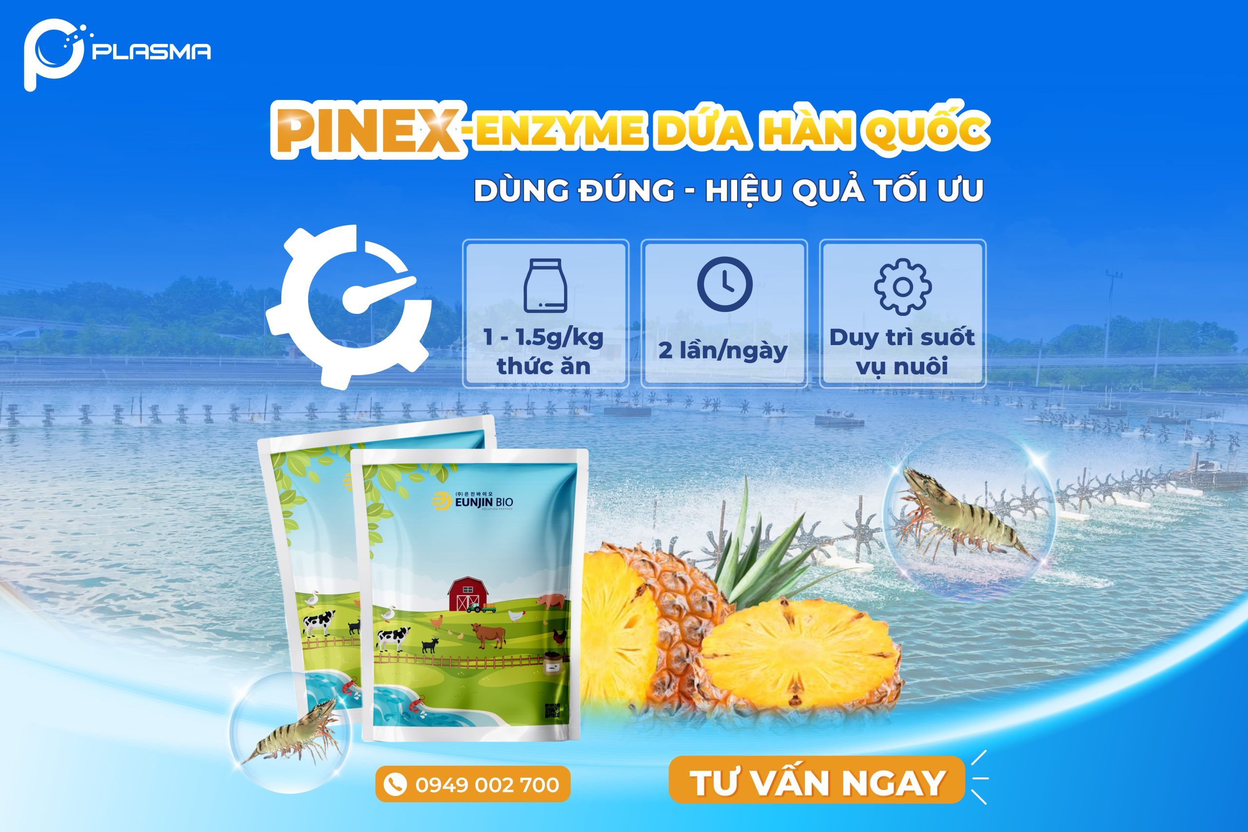 PINEX là gì? Công dụng và cách sử dụng trong nuôi tôm-cá hiệu quả ...